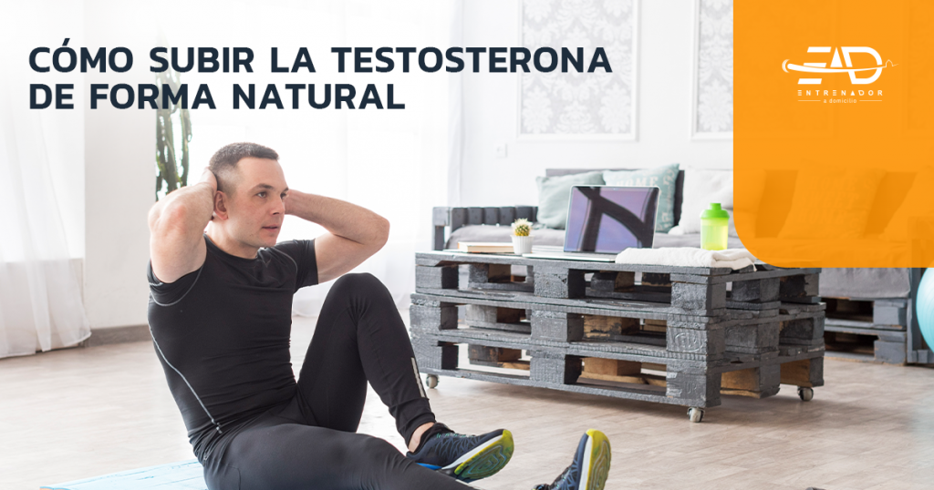 Cómo aumentar la testosterona | Entrenador a domicilio Málaga